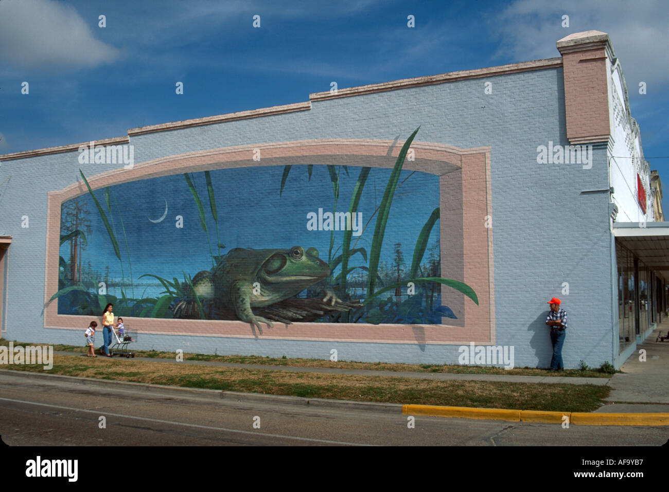 Rayne frog hi-res stock photography and images - Alamy