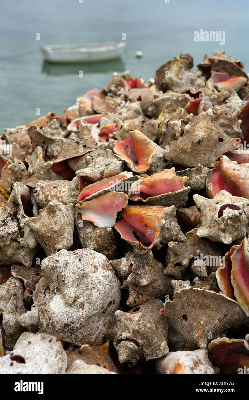 Arawak cay bahamas hi-res stock photography and images - Alamy