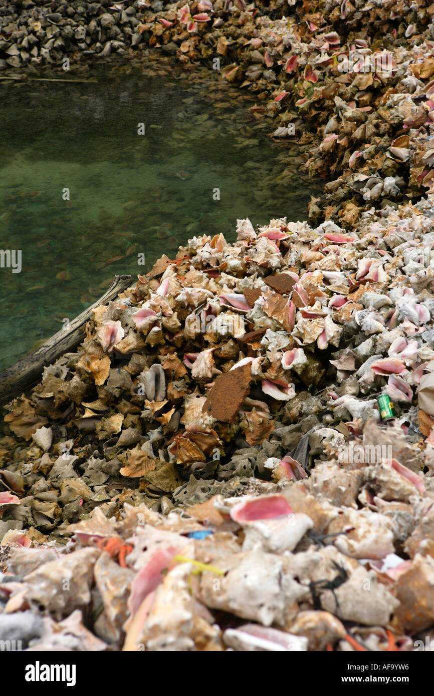 Discarded conch shells at Arawak Cay, Nassau, New Providence, Bahamas ...