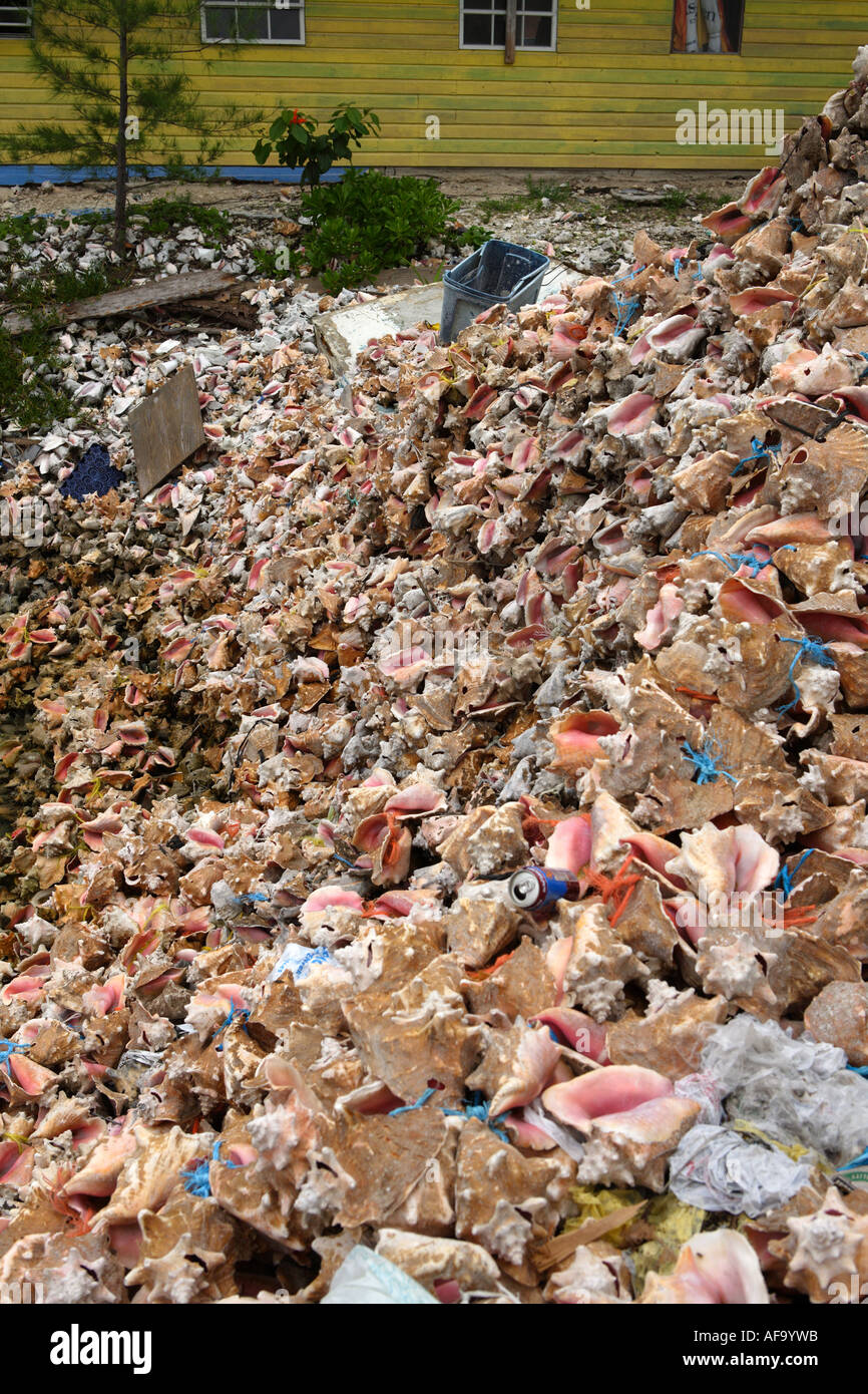 Discarded conch shells at Arawak Cay, Nassau, New Providence, Bahamas ...