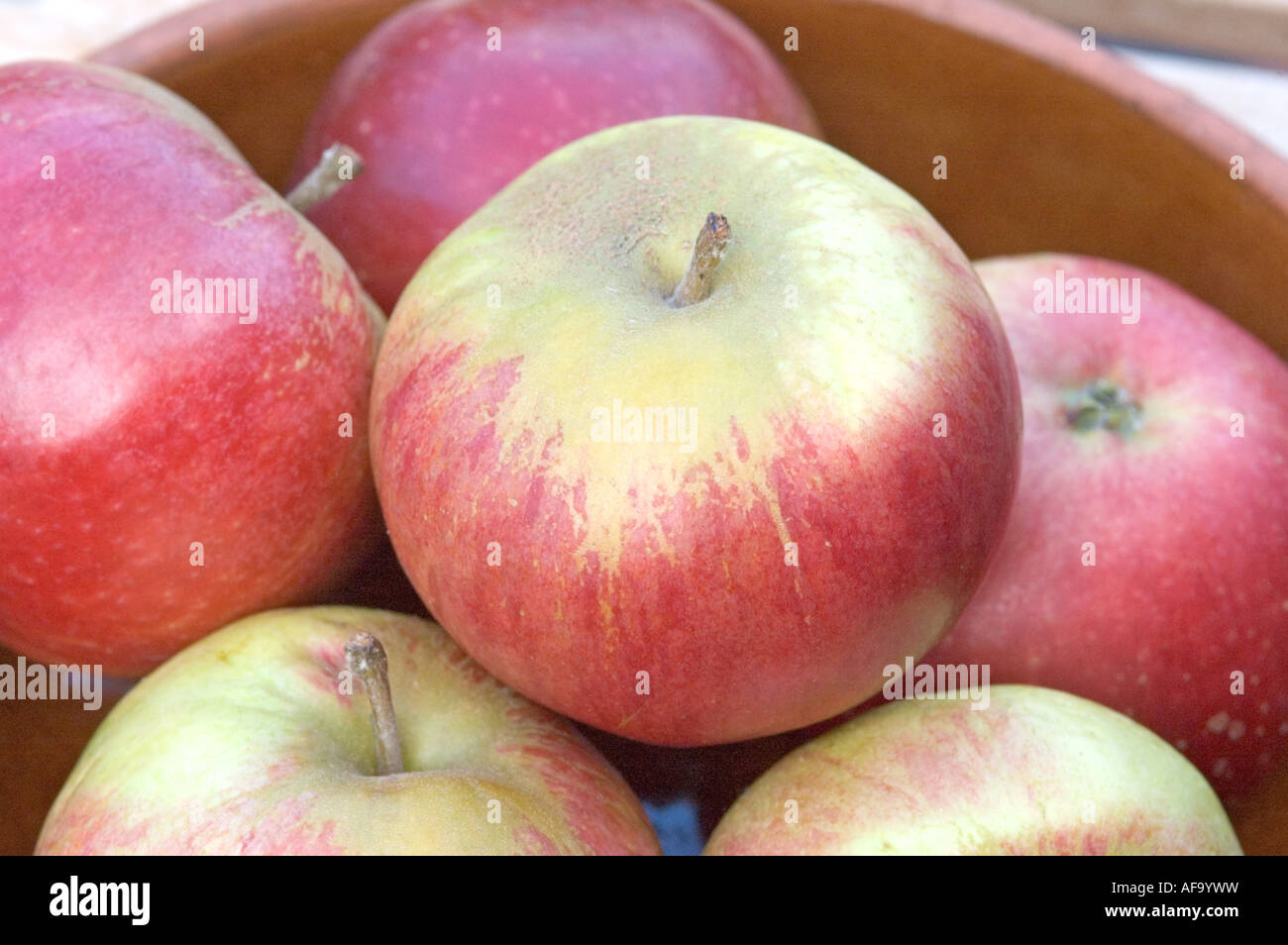 Pearmain hi-res stock photography and images - Alamy