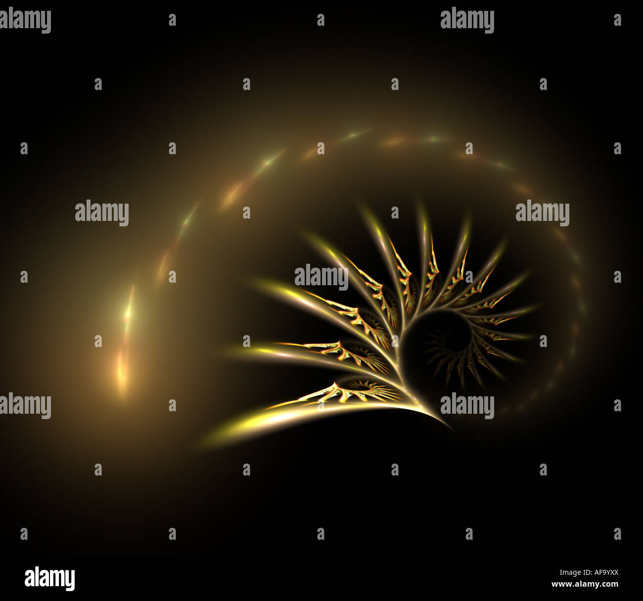 Golden spiral hi-res stock photography and images - Alamy