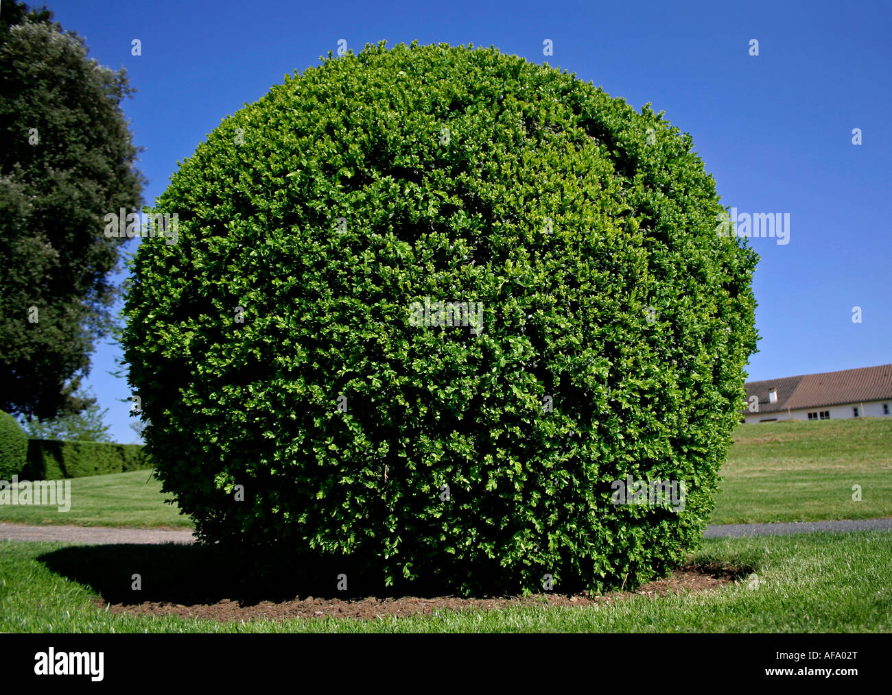 Boxtree hi-res stock photography and images - Alamy