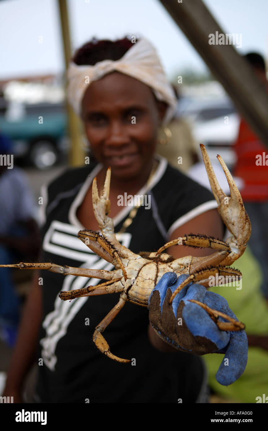 Crab cay bahamas hi-res stock photography and images - Alamy
