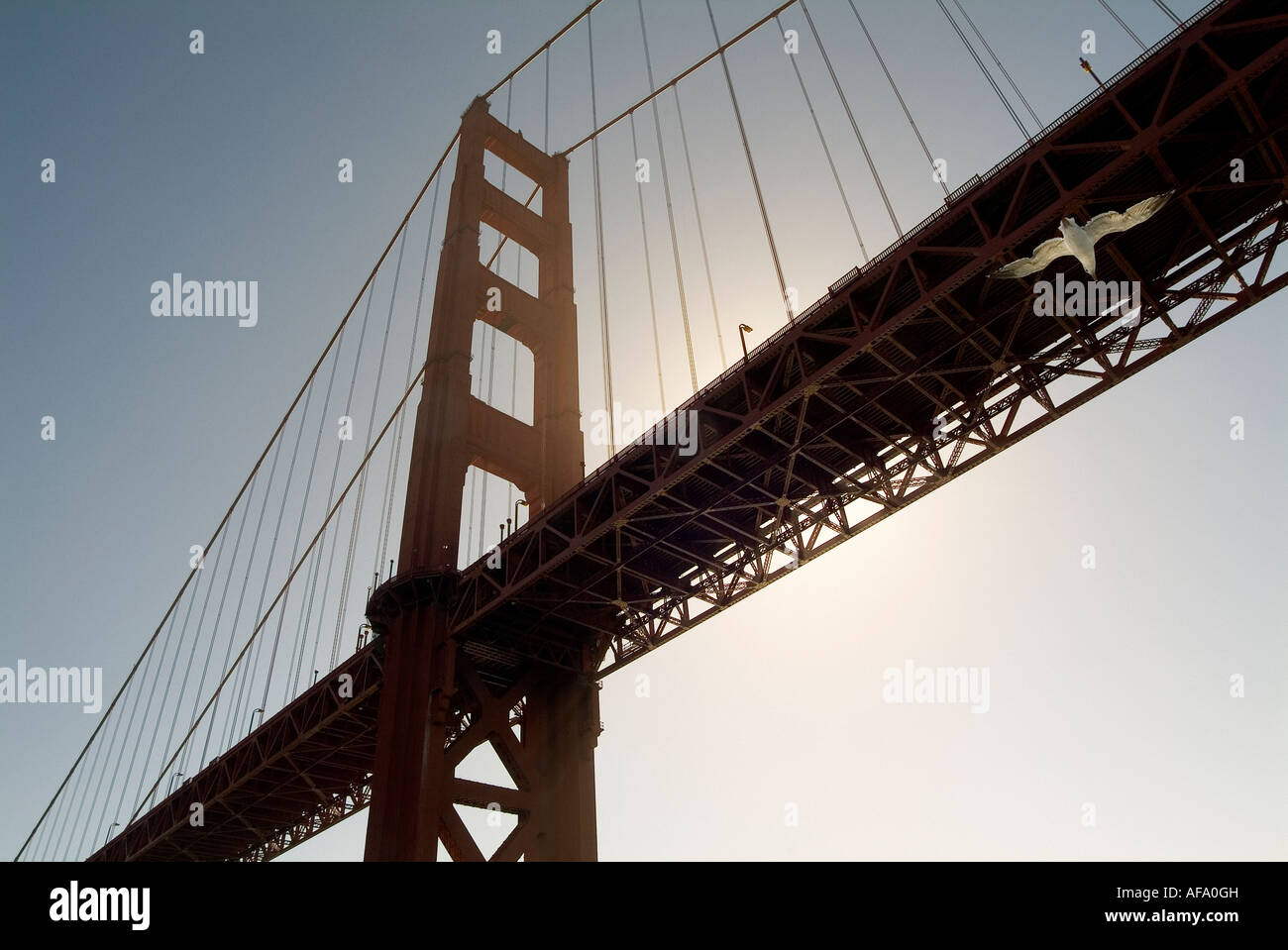 The Golden Gate Bridge. San Francisco Bay. California State. USA Stock ...
