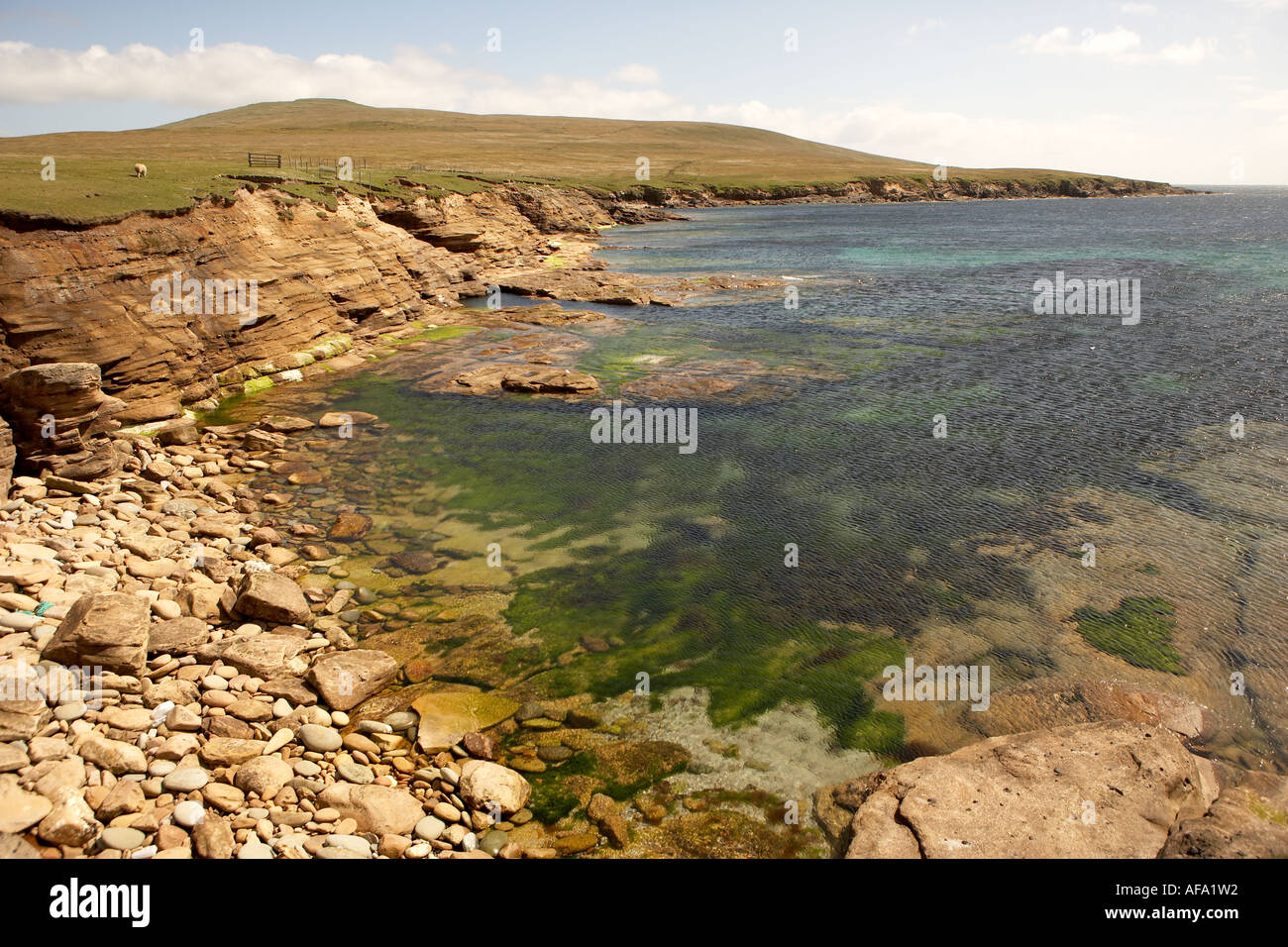 The Isle of Noss Shetland Islands Scotland Stock Photo - Alamy
