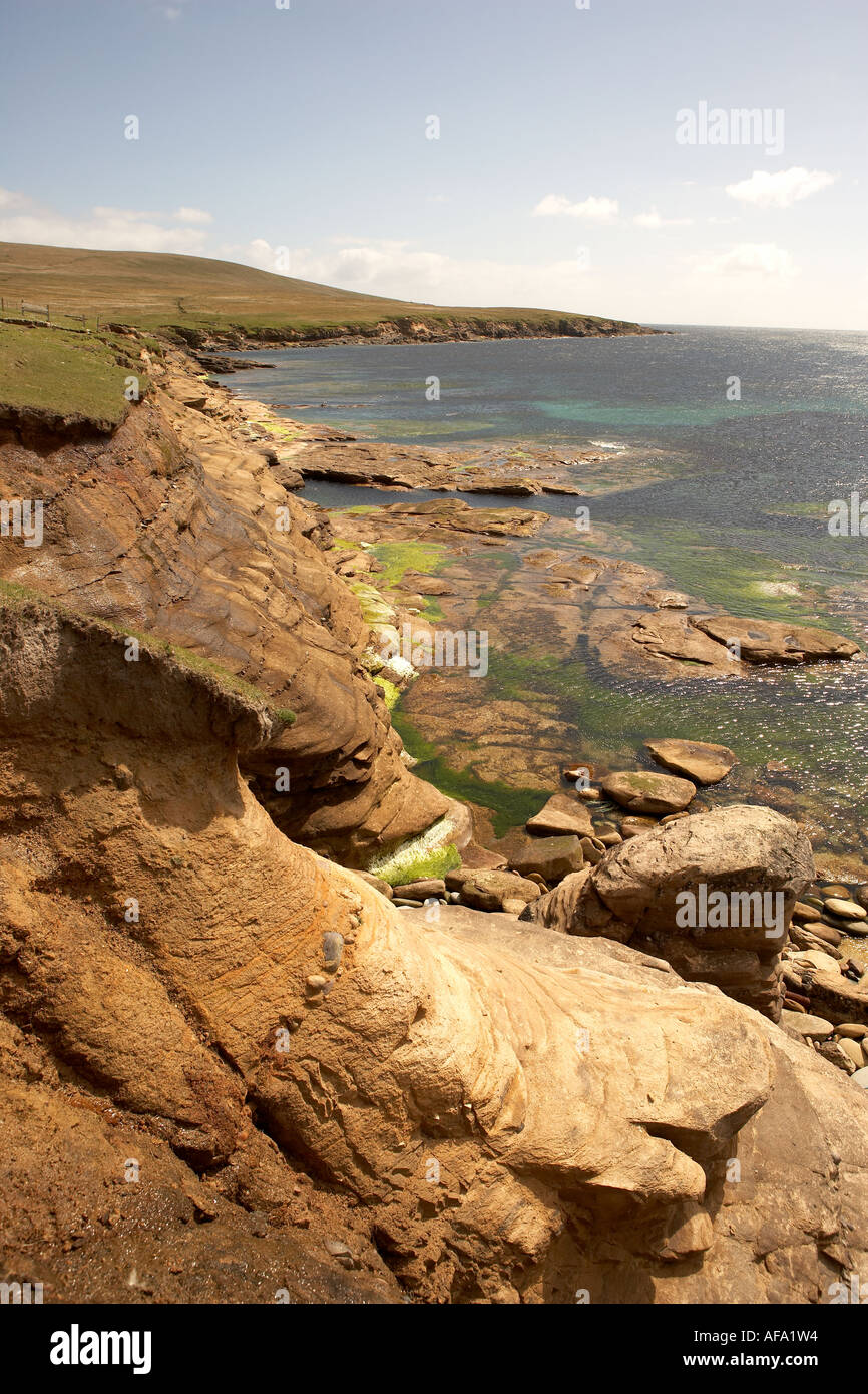 The Isle of Noss Shetland Islands Scotland Stock Photo - Alamy