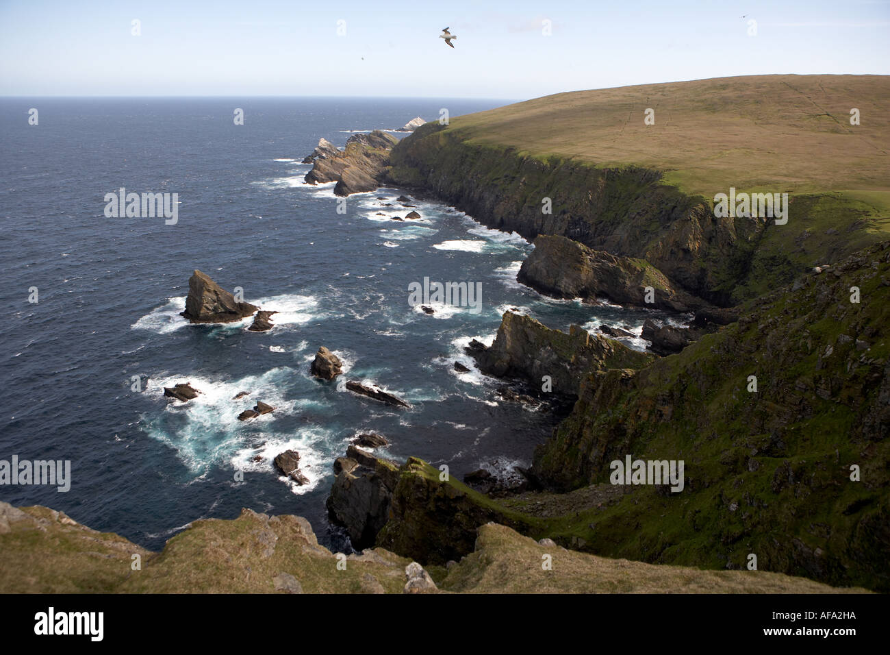 Sea cliffs at Hermaness Unst Shetland Stock Photo - Alamy