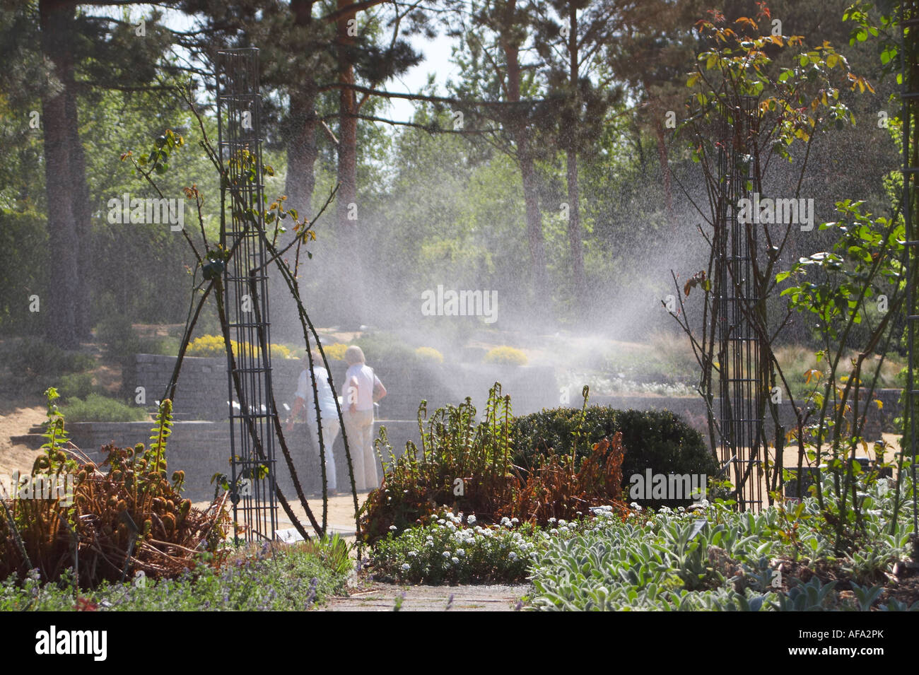 trees while spray irrigation Stock Photo - Alamy