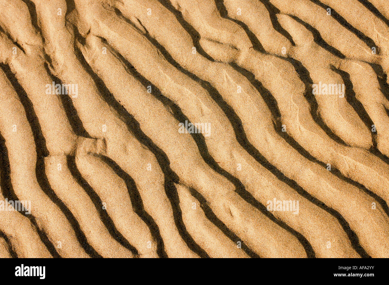 structures in wet sand during low tide Stock Photo - Alamy