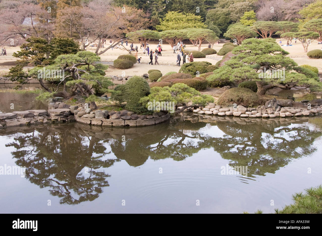 Bonsai trees reflected in the water at Shinjuku gyoen in Tokyo Stock ...