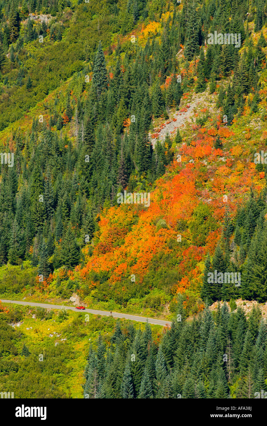 Fall color in Stevens Canyon red car on highway Mount Rainier National ...