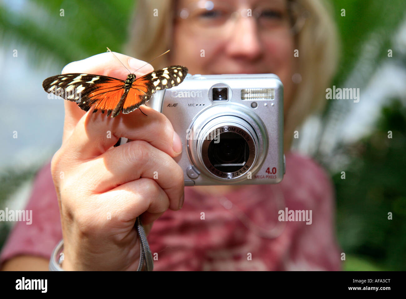 Niagara Parks Butterfly Conservatory Amazing Butterfly from all over ...