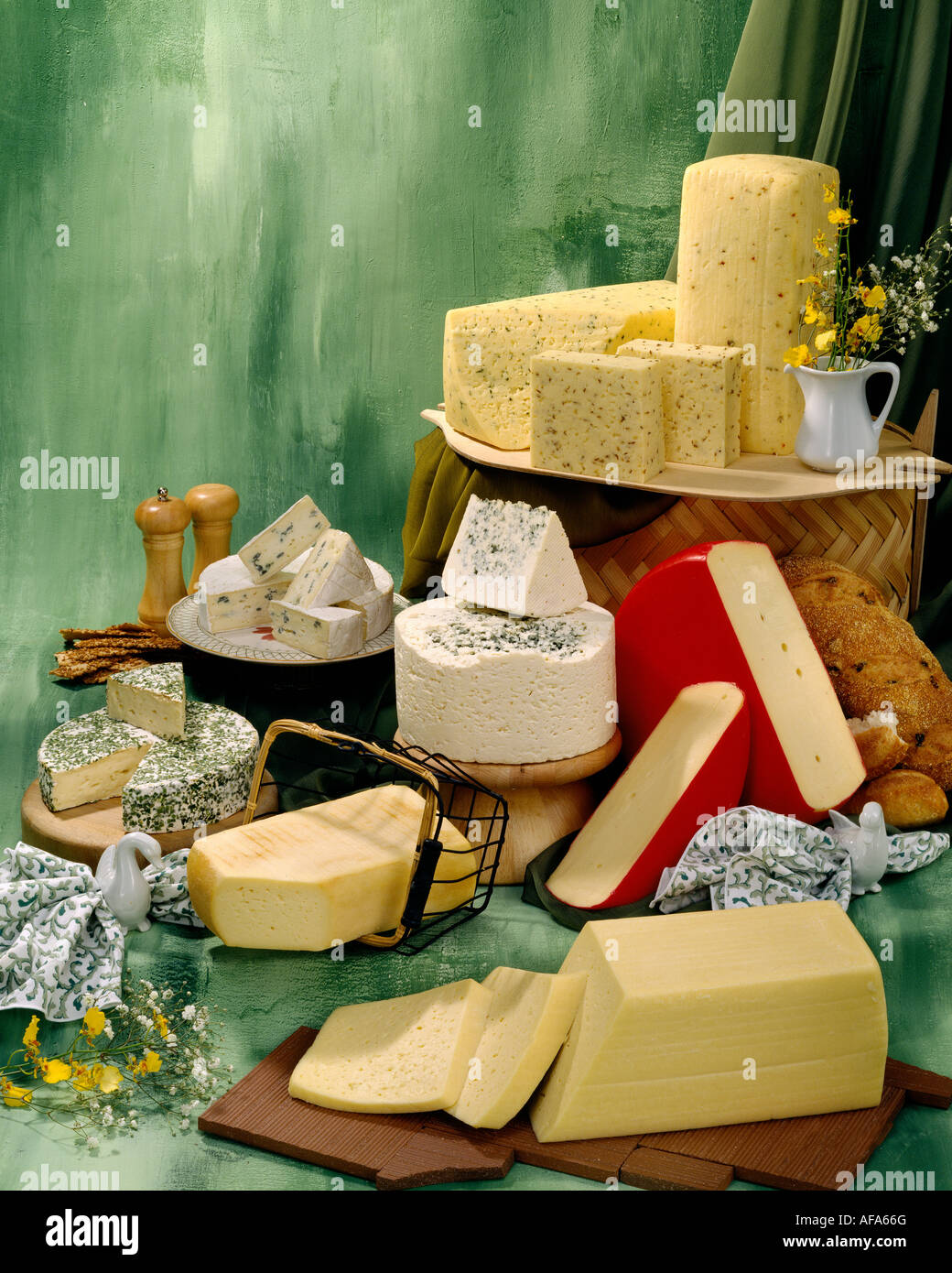 Danish Cheeses in group color photograph on green toned mottled ...