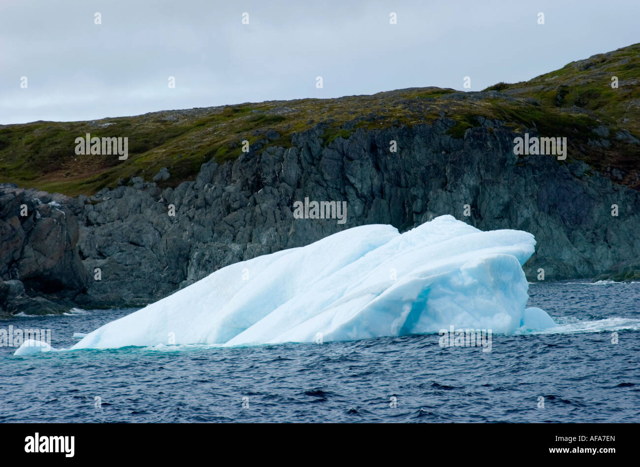 Iceberg, Newfoundland and Labrador, Atlantic Ocean Stock Photo - Alamy