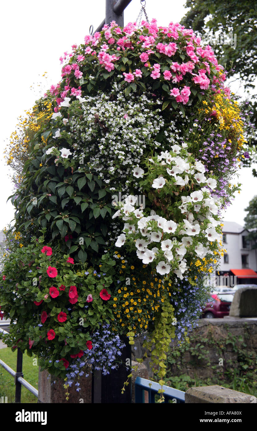 Hanging basket ireland hi-res stock photography and images - Alamy