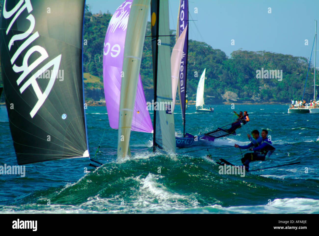 18 foot skiff sailing on sydney harbour australia Stock Photo - Alamy