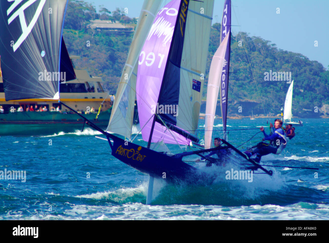 18 foot skiff sailing on sydney harbour australia Stock Photo - Alamy