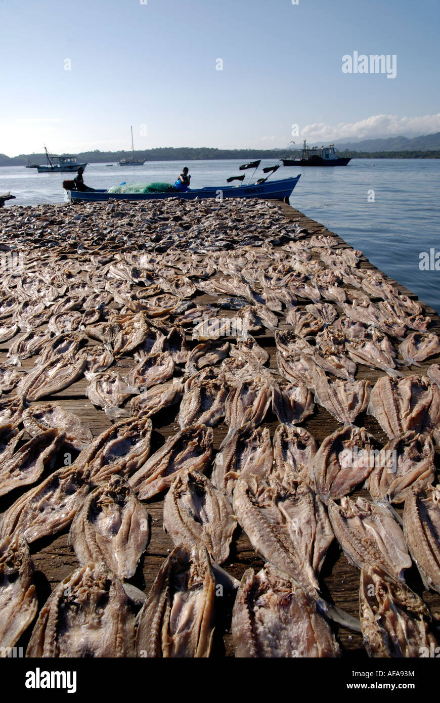 Drying salt cured fish hi-res stock photography and images - Alamy