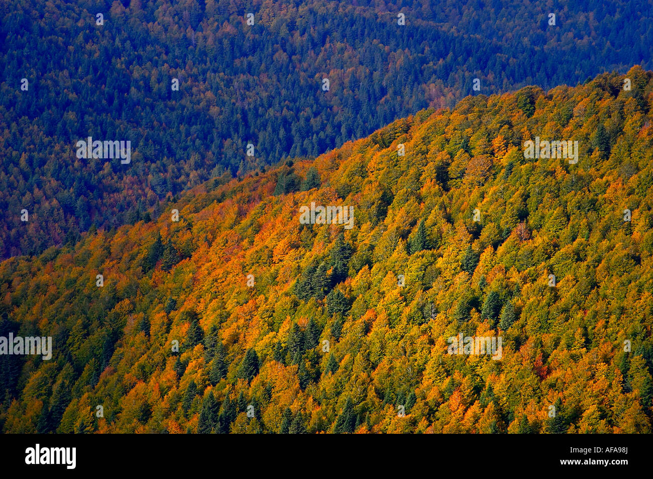 Rio irati hi-res stock photography and images - Alamy