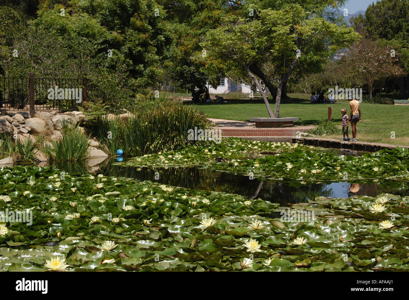 Alice Keck Park Stock Photo - Alamy