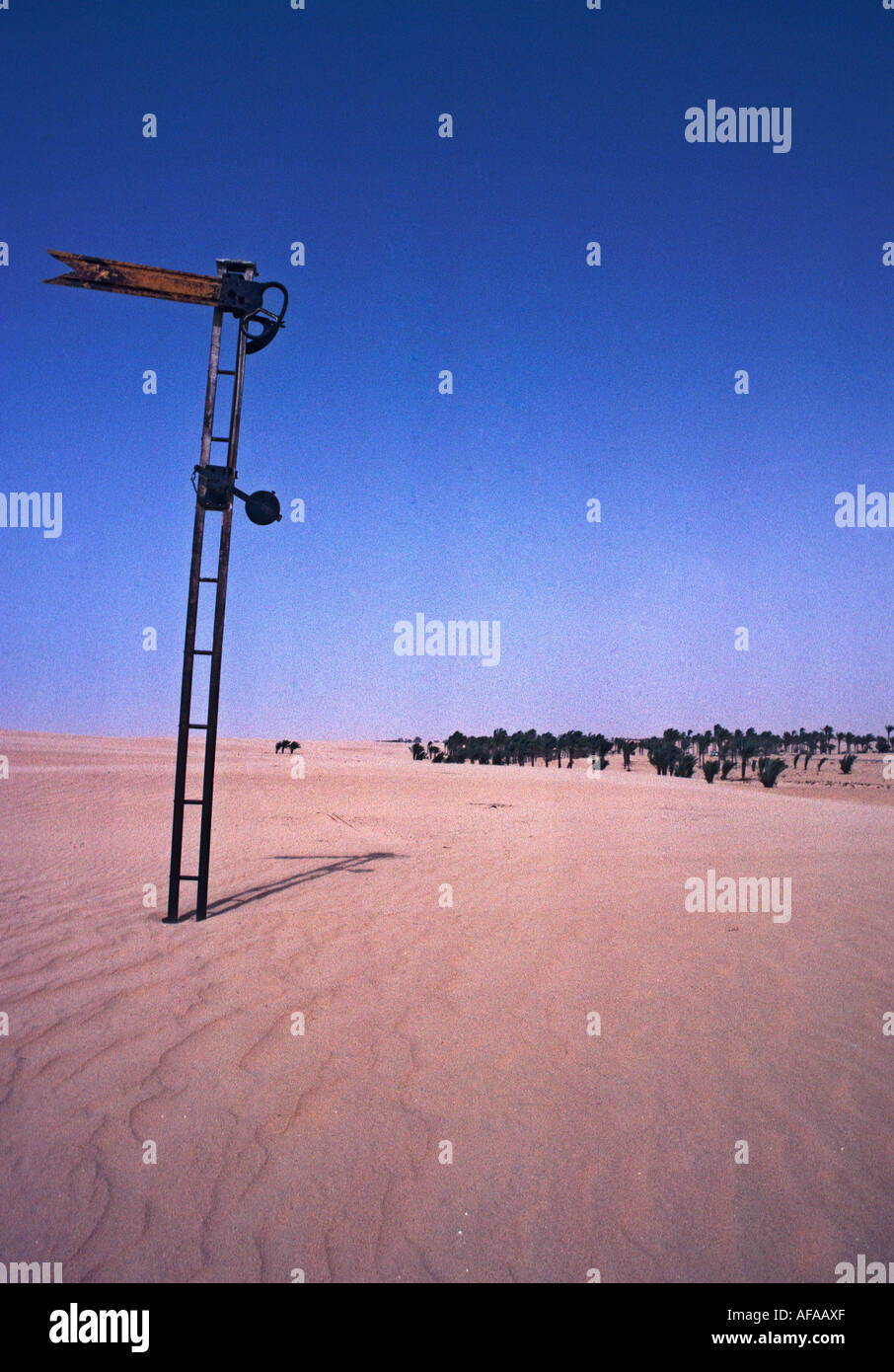 The triumph of nature: signal, abandoned railway Stock Photo - Alamy