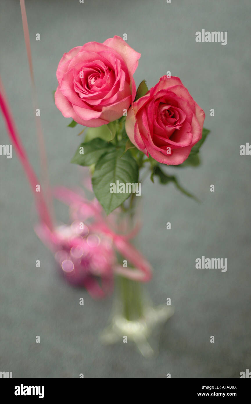 Pink roses in a clear glass vase Stock Photo - Alamy