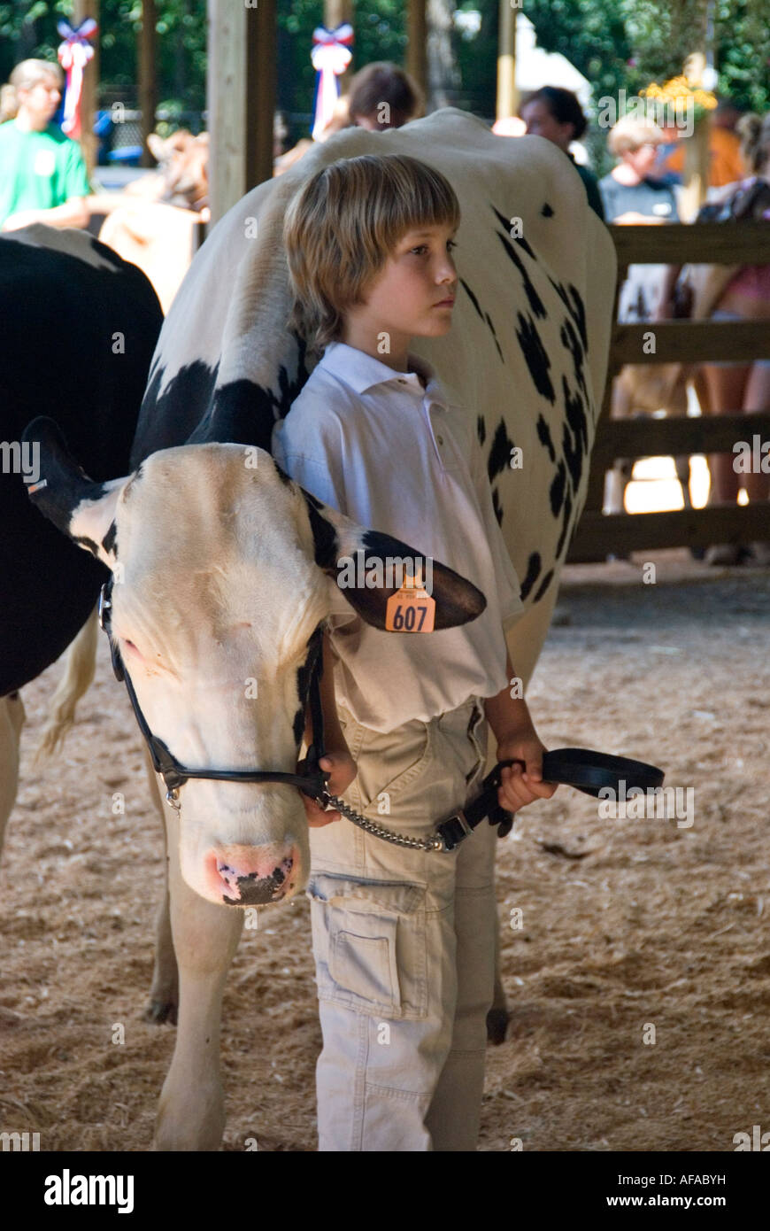4H Club Livestock Show at the Columbia County Fair in Chatham NY Stock ...