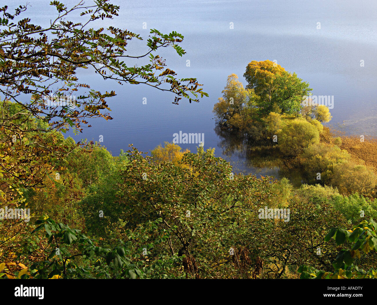 High view out over the wooded shores of Loch Tay and a neolithic ...