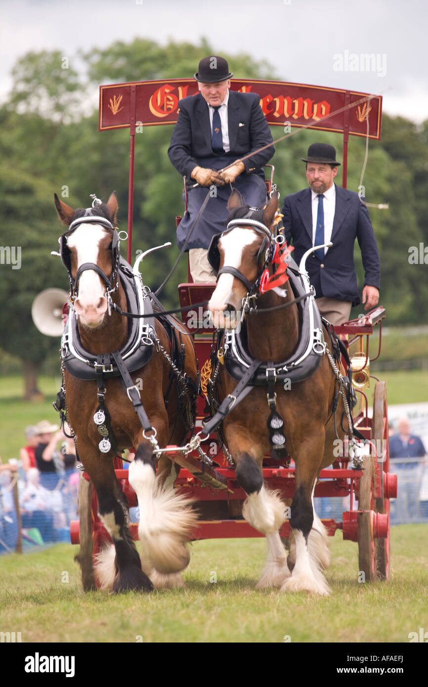 Clydesdale horse uk hi-res stock photography and images - Alamy