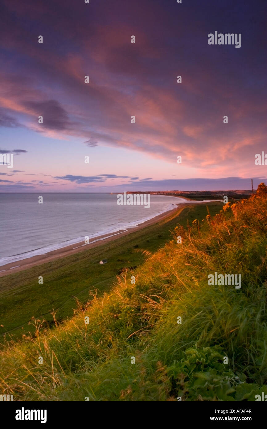 Sunrise looking over Montrose and Scurdie Ness from the cliff top at St ...
