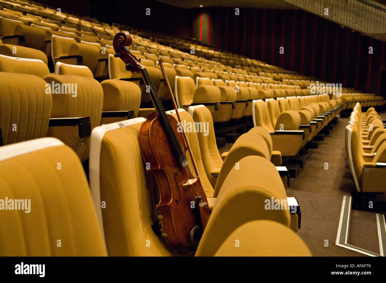 Inside a violin hi-res stock photography and images - Alamy
