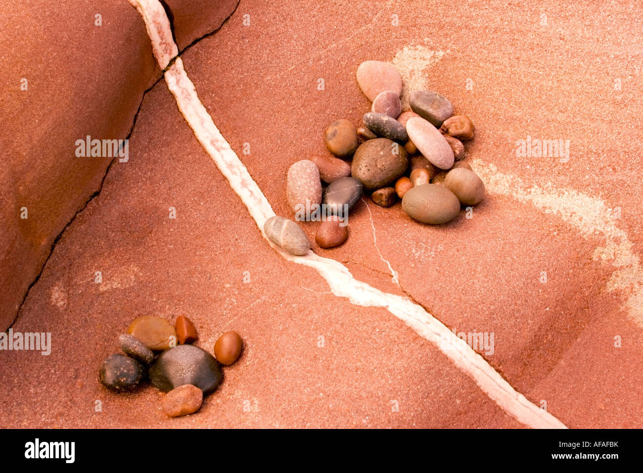Sea eroded red sandstone with pebbles, Auchmithie, Angus, Scotland ...