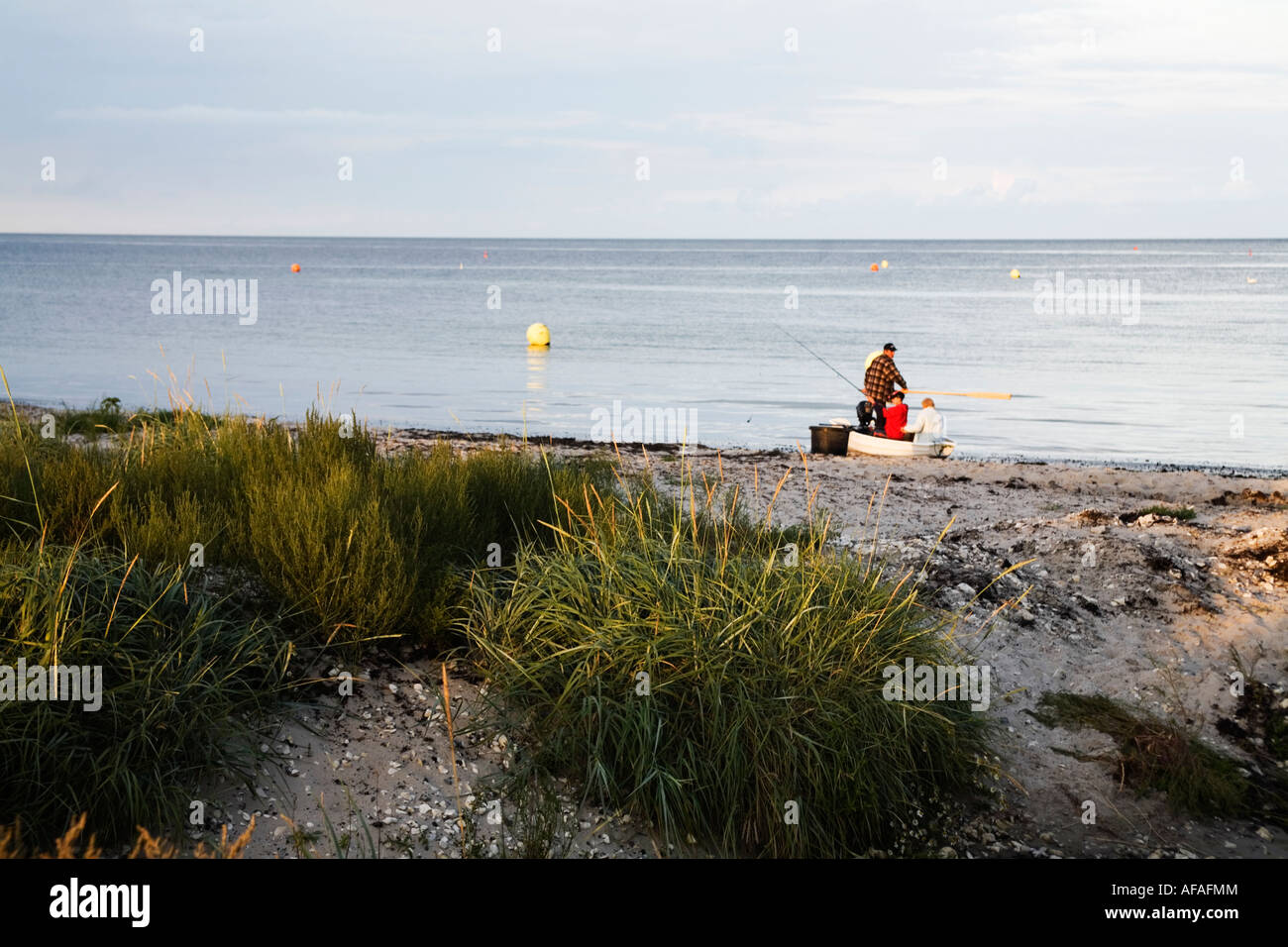 Wild Jutland beach. Denmark Stock Photo - Alamy