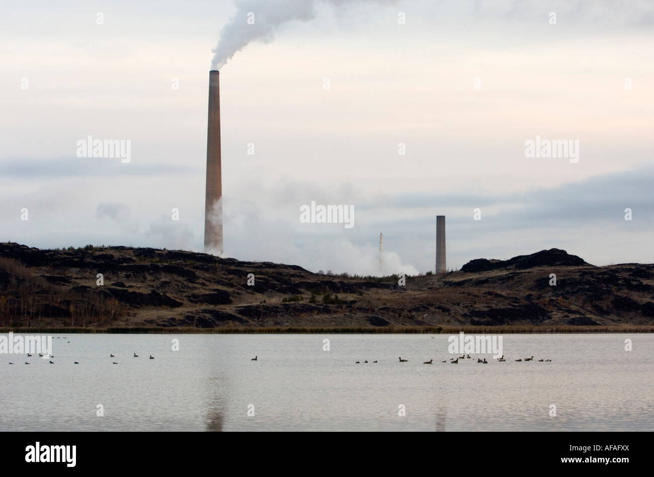 Vale Superstack reflected in Kelly Lake, with migrating waterfowl ...