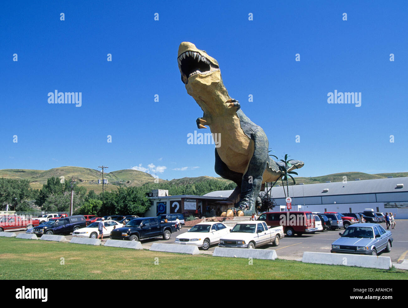 Tyranosaurous rex hi-res stock photography and images - Alamy