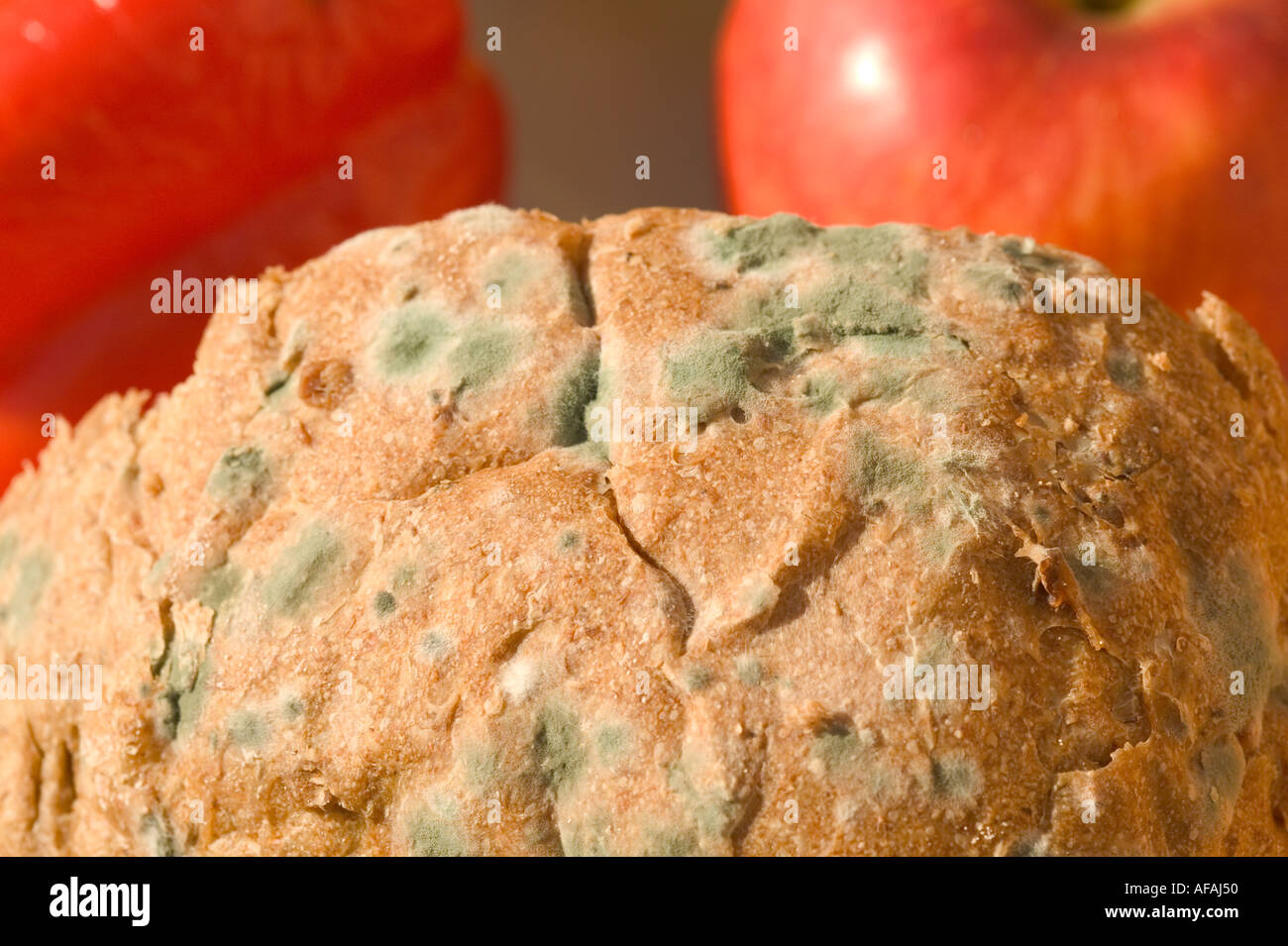 Mouldy loaf hi-res stock photography and images - Alamy