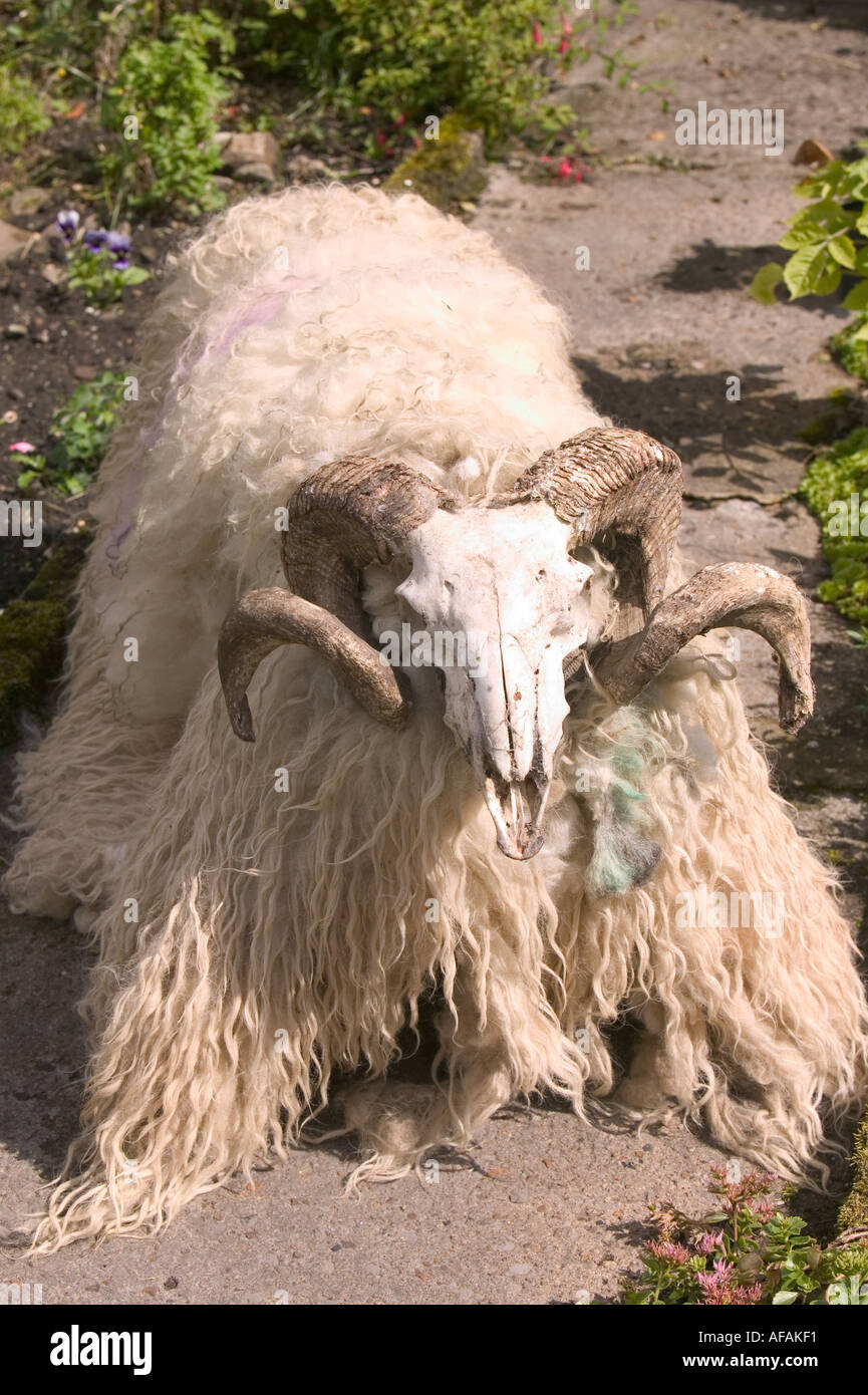 Scarecrow sheep hi-res stock photography and images - Alamy