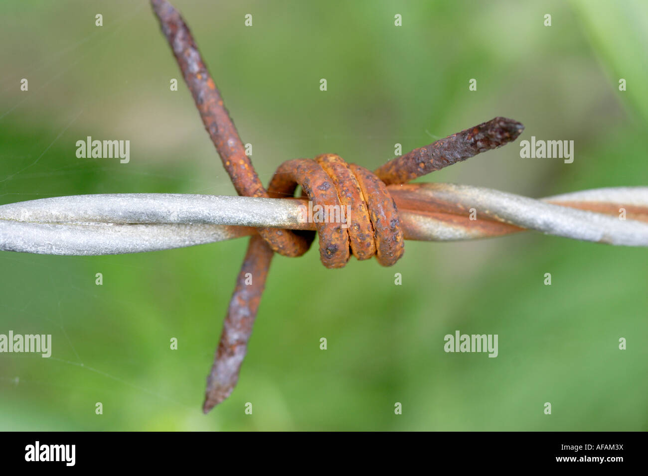Rusted barbed wire close up Stock Photo - Alamy