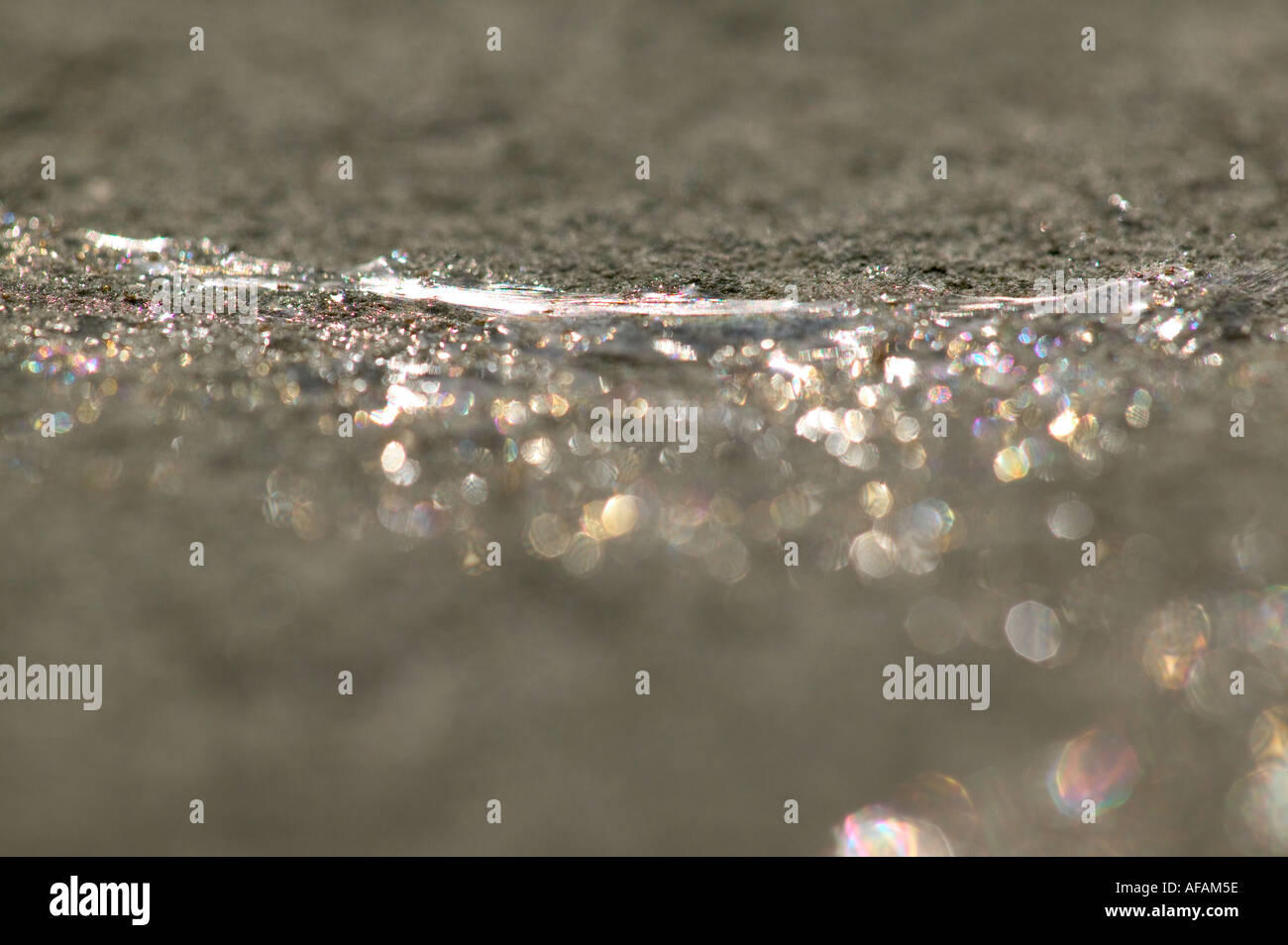 Slug Slime Trail High Resolution Stock Photography and Images - Alamy