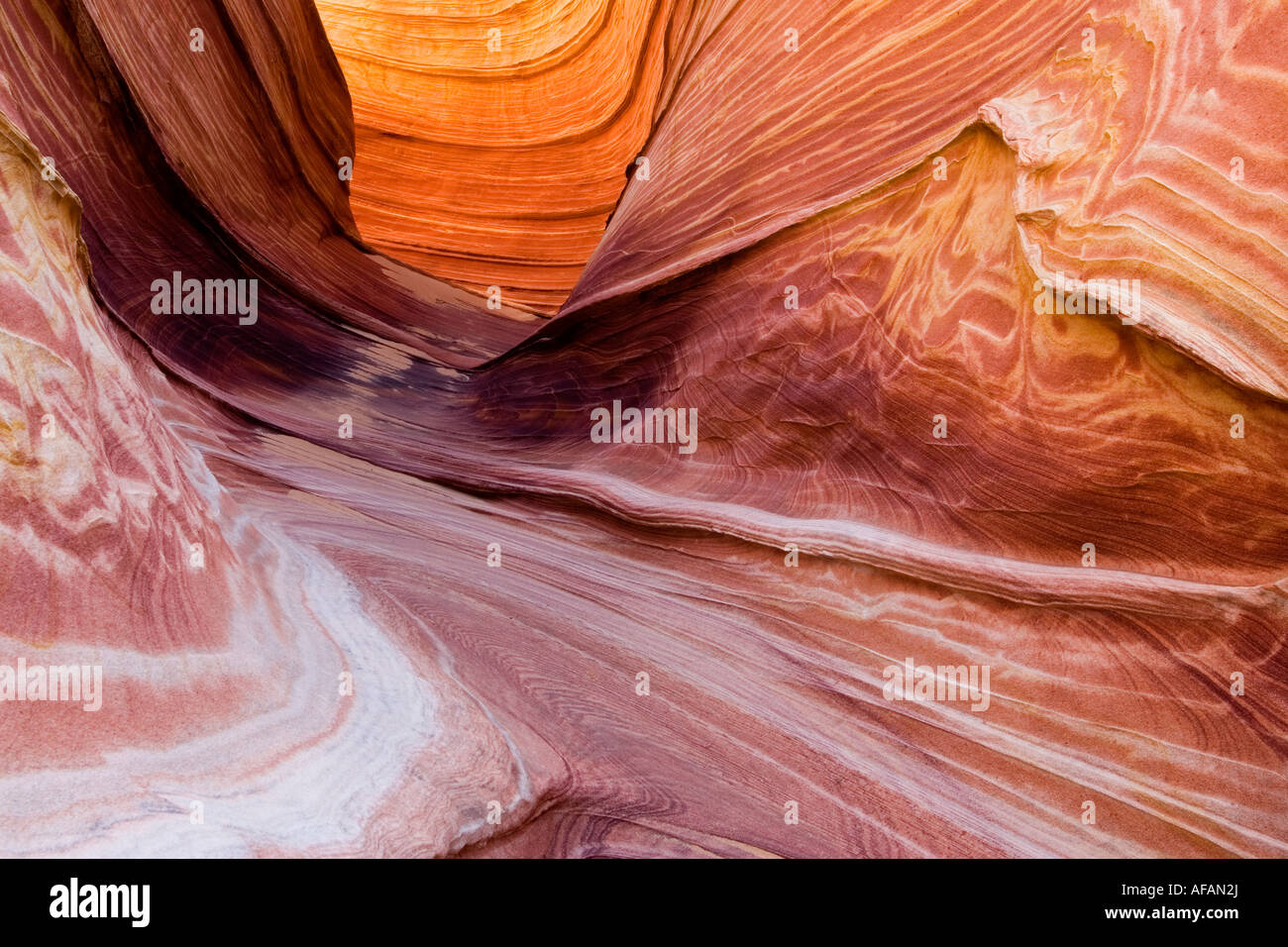 Arizona m hi-res stock photography and images - Alamy