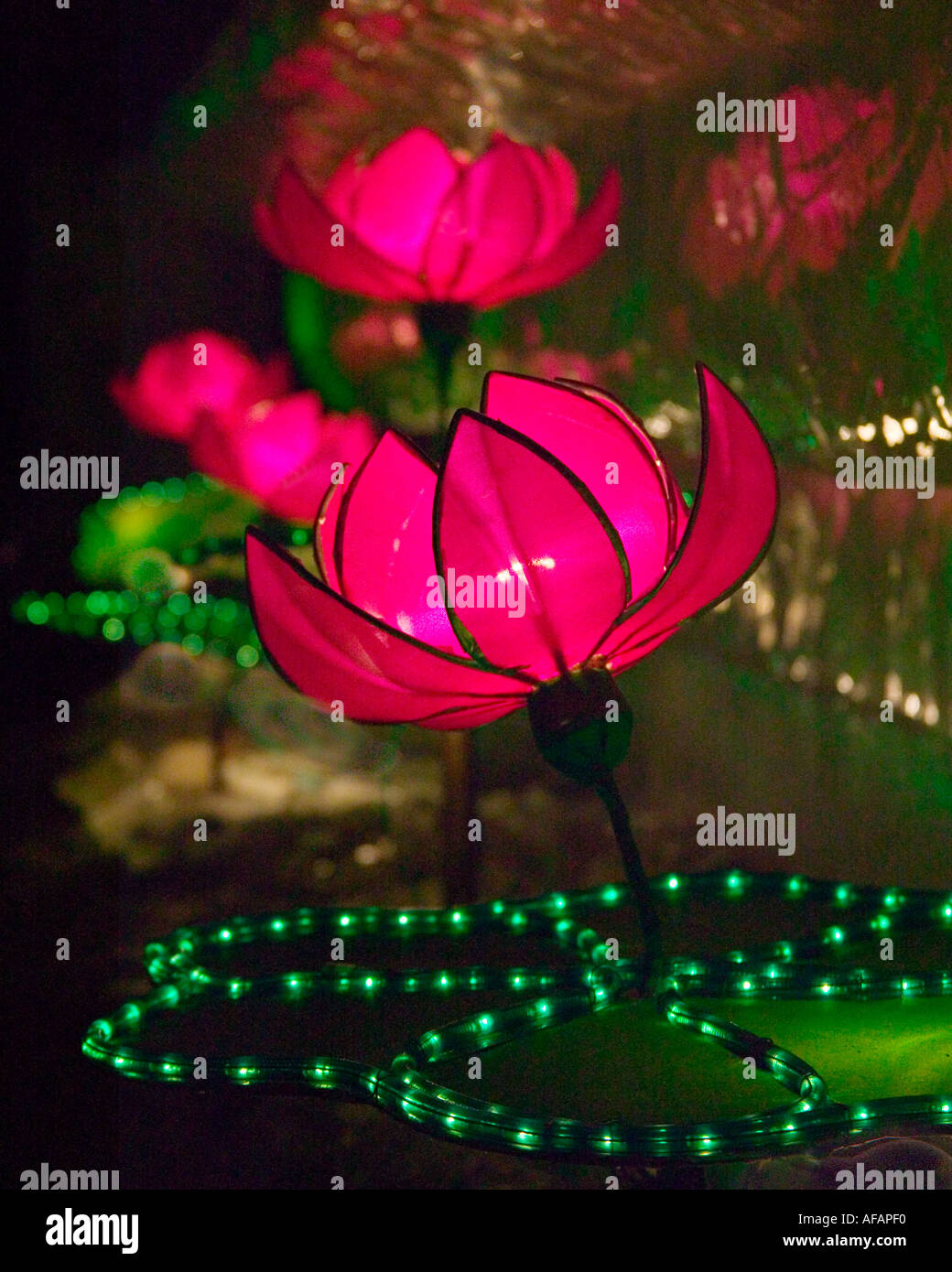 Illuminated ice sculpture of lotus flower at Ice Festival in Harbin ...