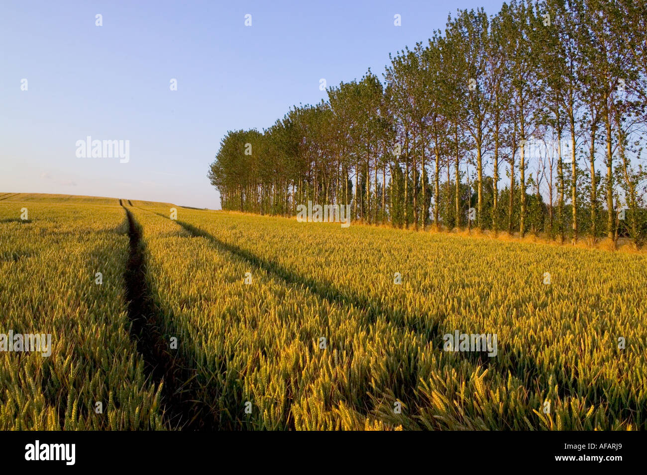 Cliffe And Cliffe Woods High Resolution Stock Photography and Images ...