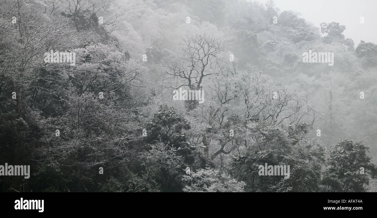 Wolong valley landscape hi-res stock photography and images - Alamy