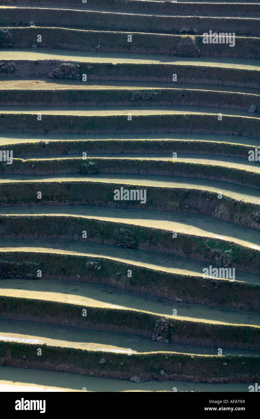 Landscape of water filled rice terraces in the mountain Yunnan Province ...