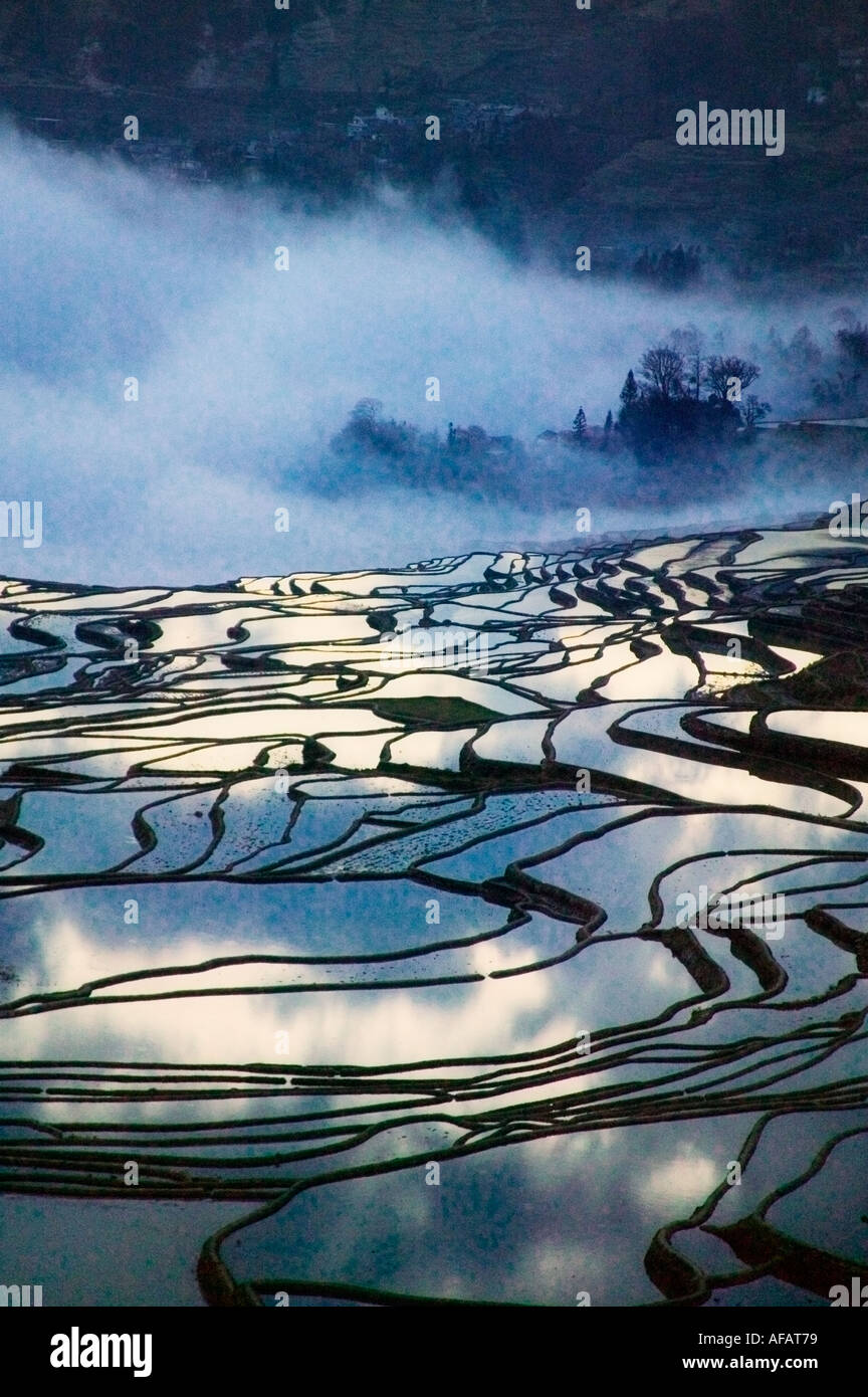 Landscape of water filled rice terraces in early morning mist in the ...