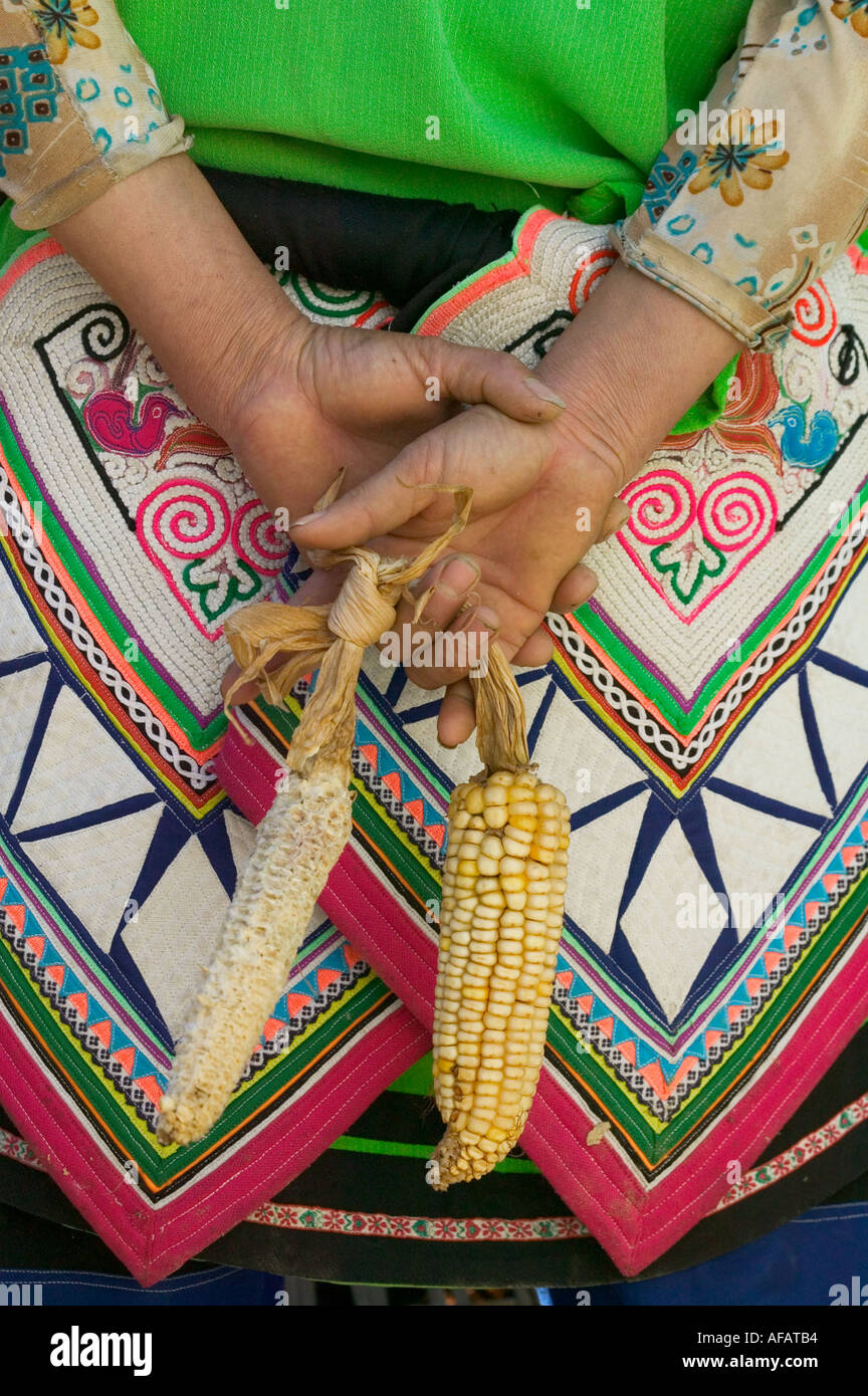 Backview of Hani girl wearing traditional costume holding corn cob ...