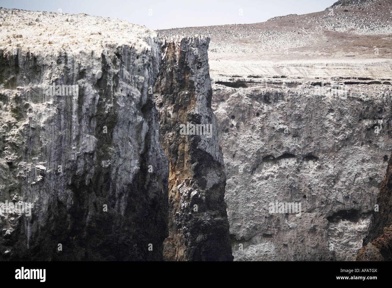 Slate Rock on Coast in Anacapa Island Channel Islands National Park ...