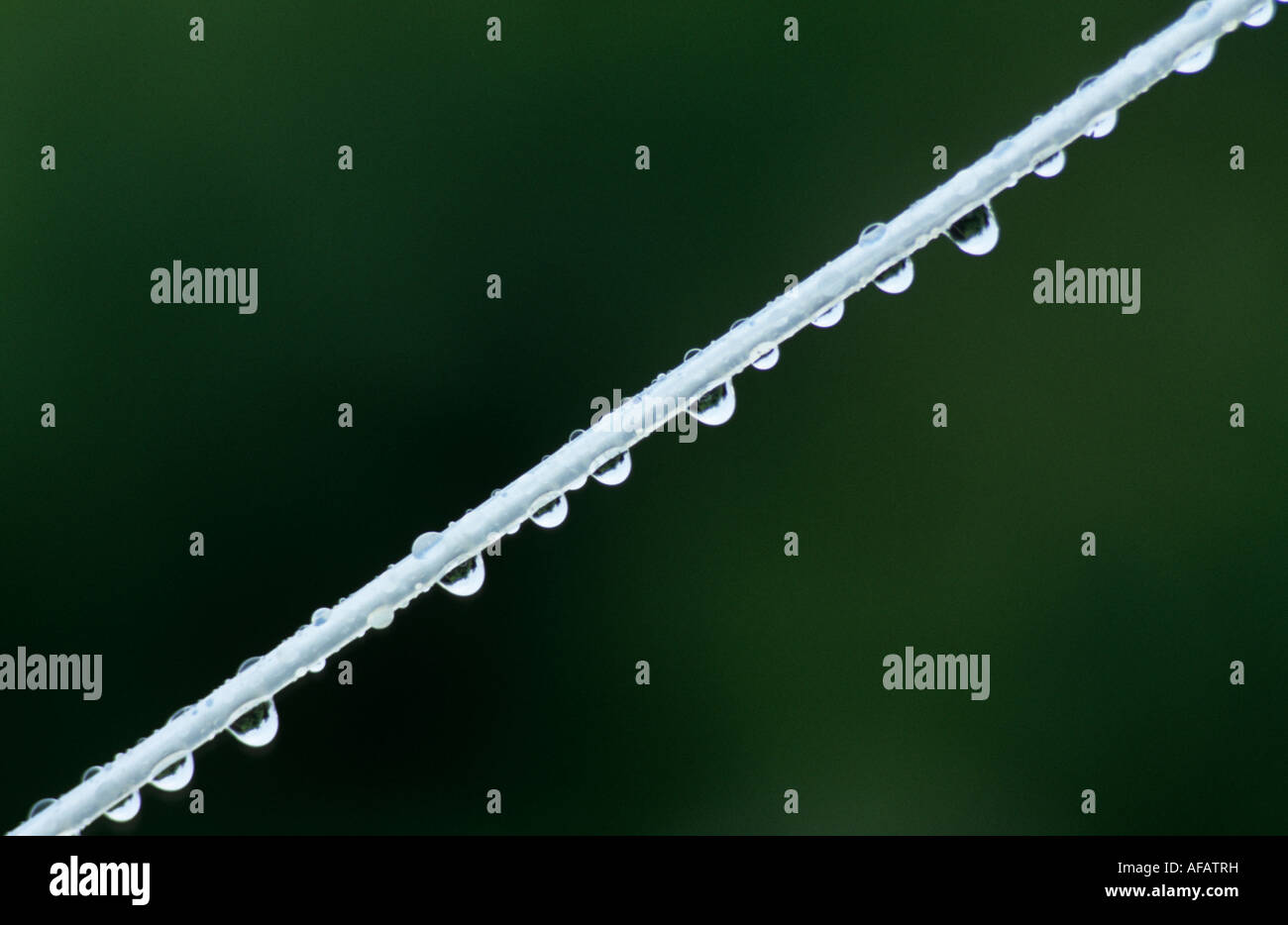 Raindrops washing line rain hi-res stock photography and images - Alamy