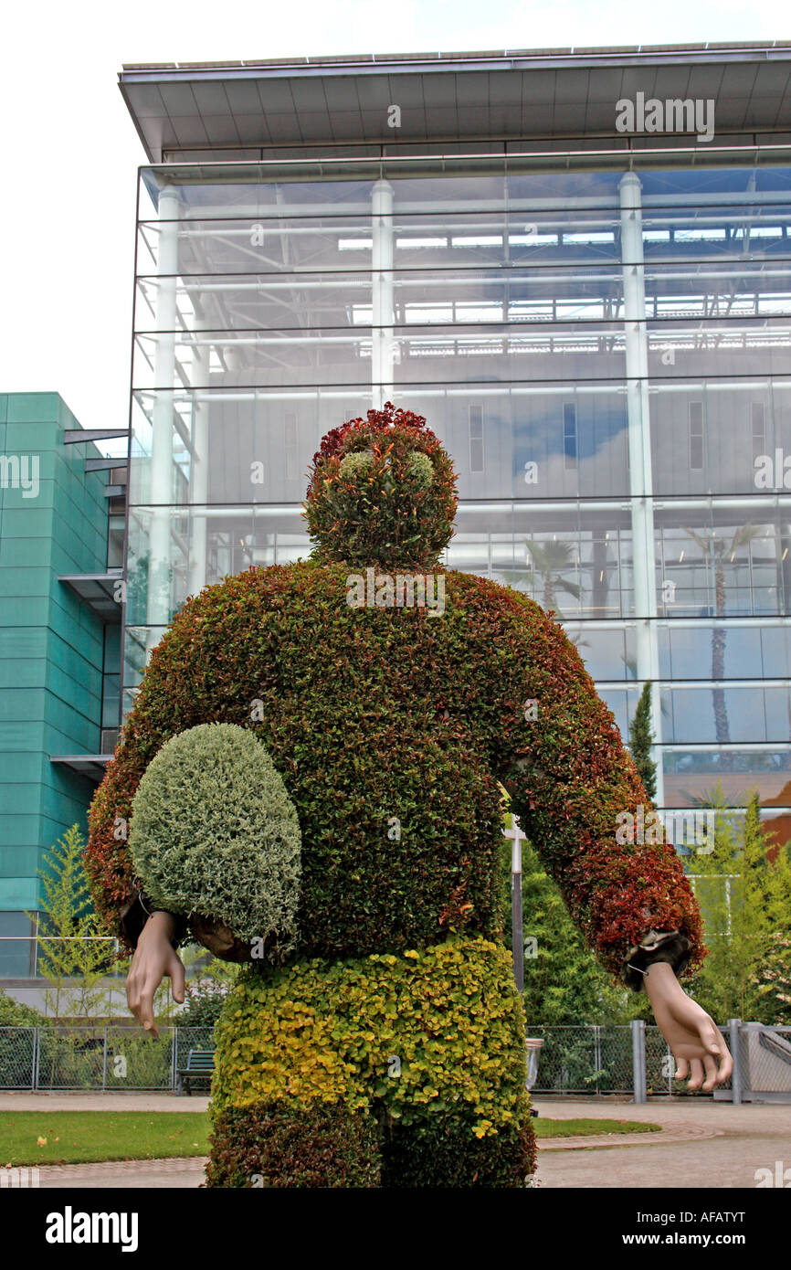 Rugby flower displays hi-res stock photography and images - Alamy
